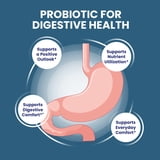 Renew Biome Capsules – RenewBiome Pills Digestive Support, Gut Wellness ...