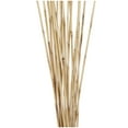 41" Tall Stick Bamboo Natural Foliage Sticks Bouquet, by DecMode ...