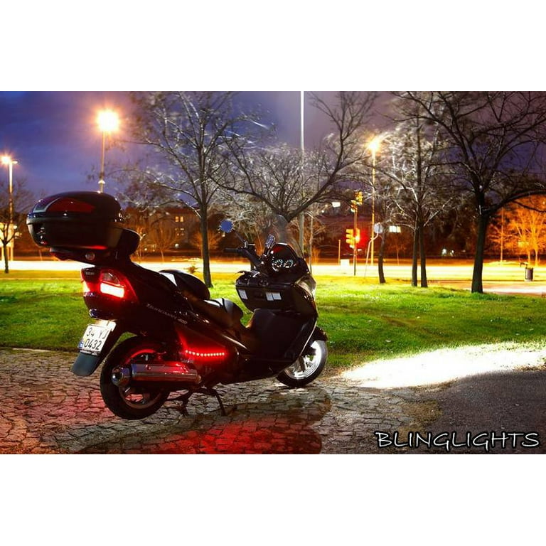 Modified Suzuki Burgman 650 | ppgbbe.intranet.biologia.ufrj.br