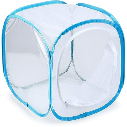 RESTCLOUD Jaula para hábitat de insectos y mariposas Terrario Pop-up 12 ...