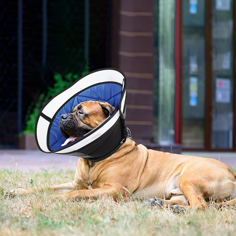 Elizabeth Collar for Small Medium Large Dogs Soft Waterproof Pet ...