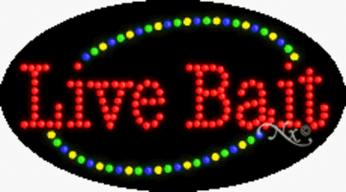 Live Bait Indoor High Impact Energy Efficent Flashing & Animated LED ...