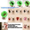 NEXAVKPR Versatiles Crystal Balls Door Knob Suitable for Bedroom ...