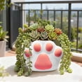 CaraMart Modern Cat Paw Shaped Flower Pot Decorative Vase for Home ...