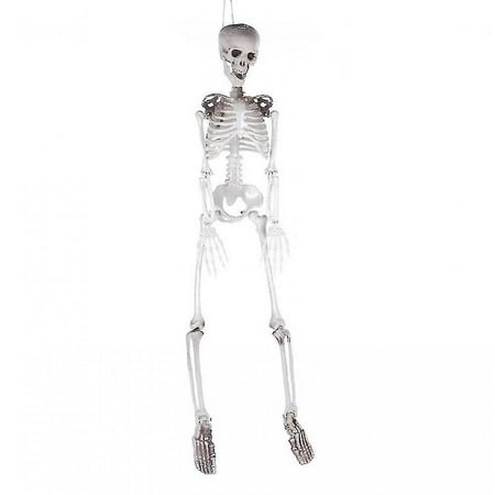 Holiday ornament displays stands posable halloween skeleton full body ...