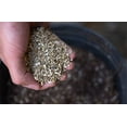 Perfect Plants Organic Vermiculite - 4 Quarts - Walmart.com