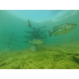 MossBack Fish Habitat Safe Haven Fish Habitat Structure for Lakes and ...