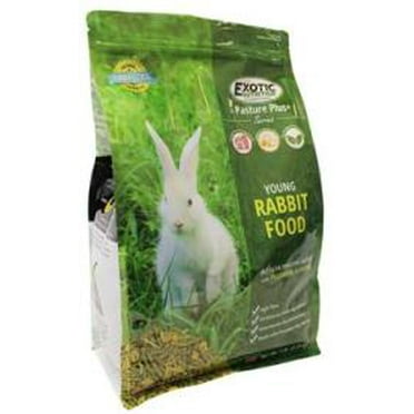 Oxbow Essentials Young Rabbit Food, 5 lbs. - Walmart.com