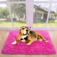 Homore Super Soft Area Rugs Fluffy Carpets for Bedroom Kids Girls Boys ...