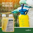 Syngenta Barricade 4FL Herbicide - Lawn Pre-Emergent Weed Control - 4 ...