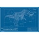 T-Rex - Blueprint Illustration Poster and Poster Mount Bundle - Walmart.com