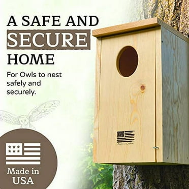 Owl House Wooden Building Kit for Adults Prebuilt Owl Box for Outside ...