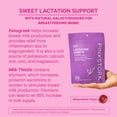 Pink Stork Lactation Sweets, Breastfeeding Supplement Lozenges ...
