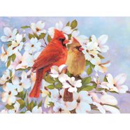 Mini Paint By Number Kit 5"X7"-Cardinals - Walmart.com