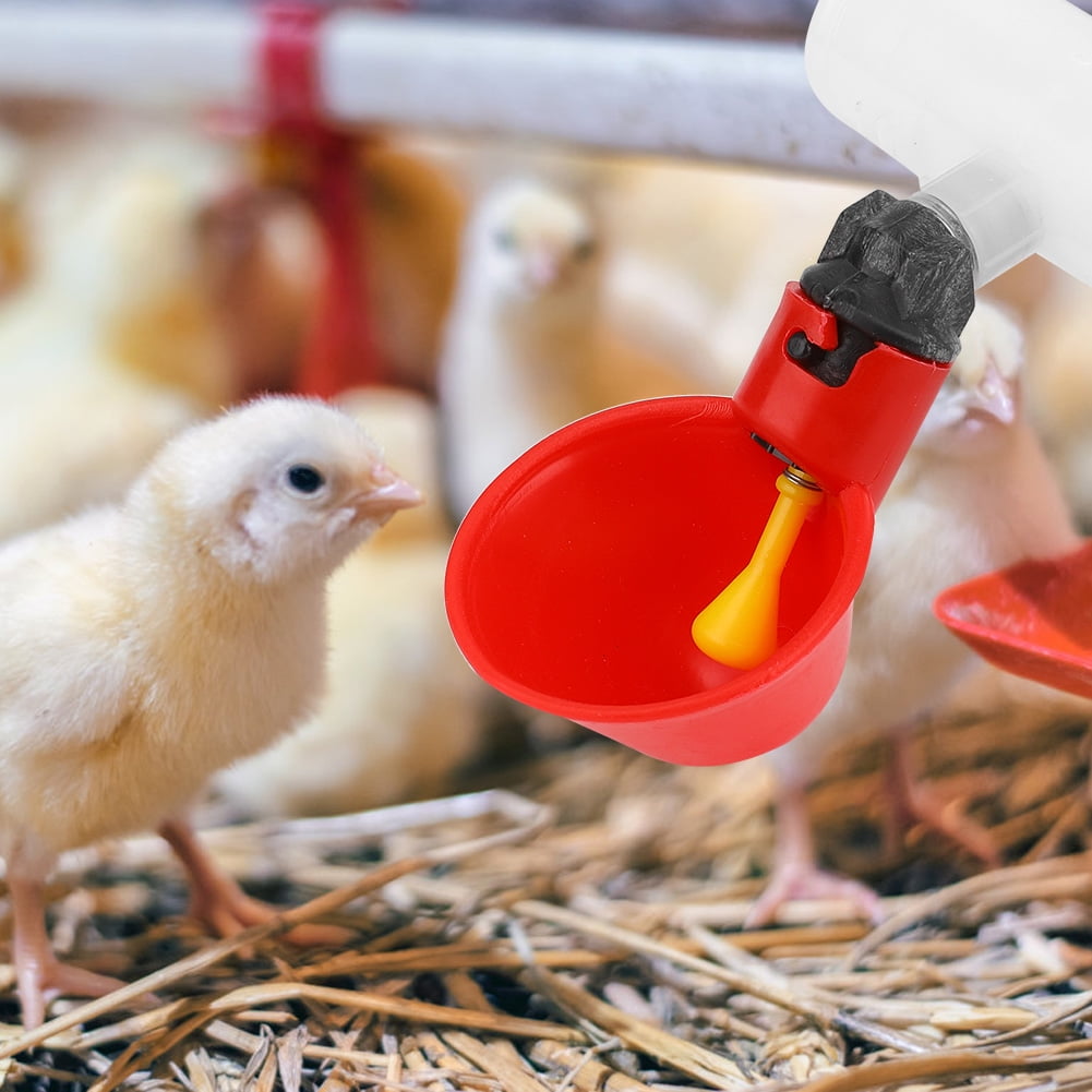 Chicken Drinking Dispenser,10Pcs Plastic Automatic Poultry Automatic ...
