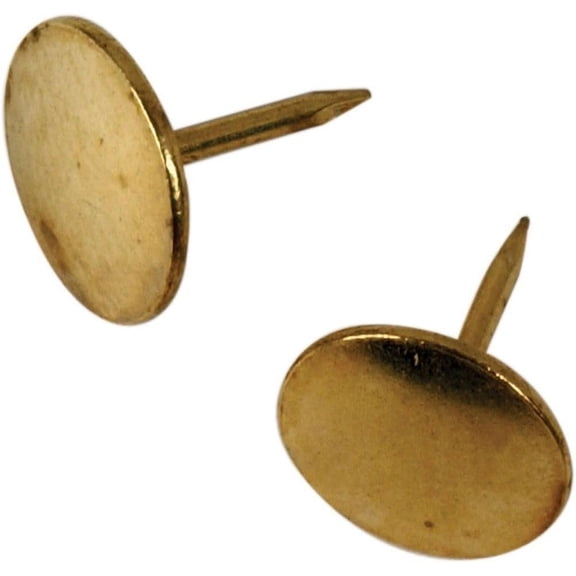 Hillman Anchor Wire Brass 23/64 In. x 15/64 In. Thumb Tack (40-Count ...