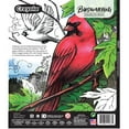 Crayola Bird Coloring Book, 40 Premium Birdwatching Adult Coloring ...
