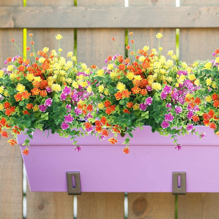 Types Of Hanging Flowers