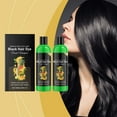 Alaparte Fruit Vinegar Hair Dye Shampoo 3.38fl. oz, Easy Natural Black ...