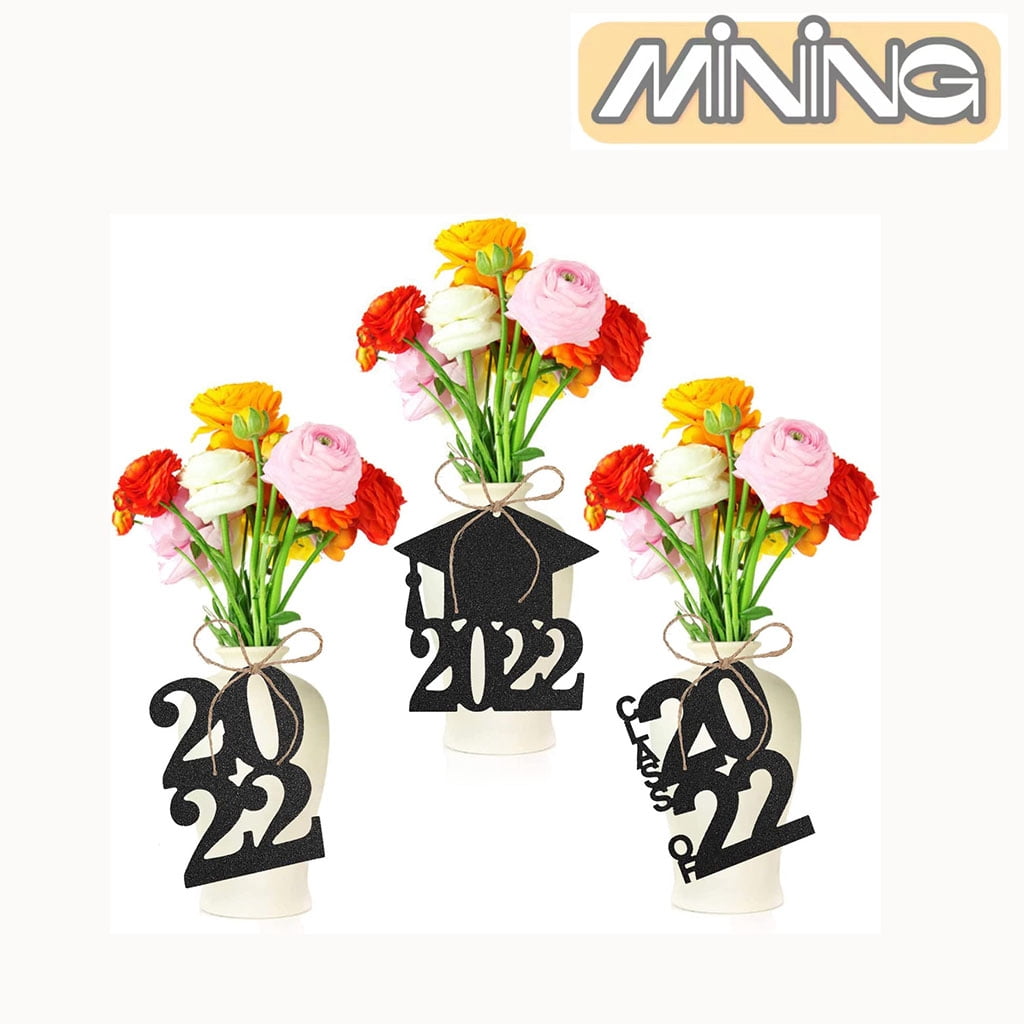 24pcs Graduation Favor Tags Class of 2022 Graduation Cutouts with 10 ...