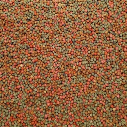 Buy Aquatic Foods Cichlid Pellet Blend with Aquatic Foods Intense Red ...