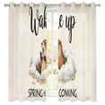 Cartoon Groundhog Sheer Curtains 39 Inch Long 2 Panels, Wake Up Spring ...