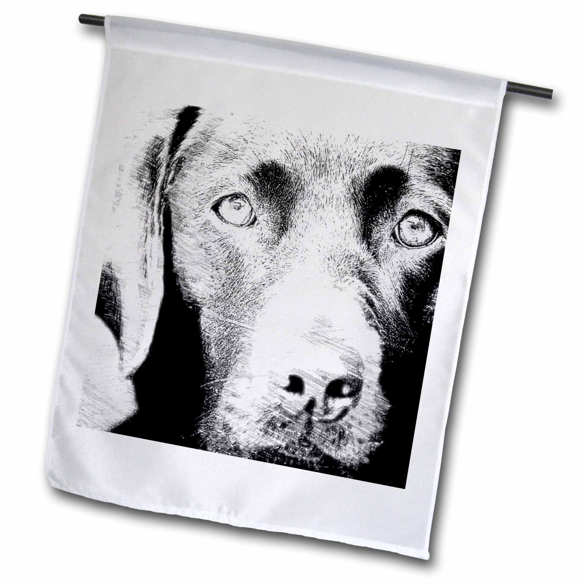 Black Lab digital art pencils 18 x 27 inch Garden Flag fl-201561-2 ...