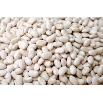 Navy Beans Seeds for Planting(50 Seeds) - Grow White Kidney Beans ...