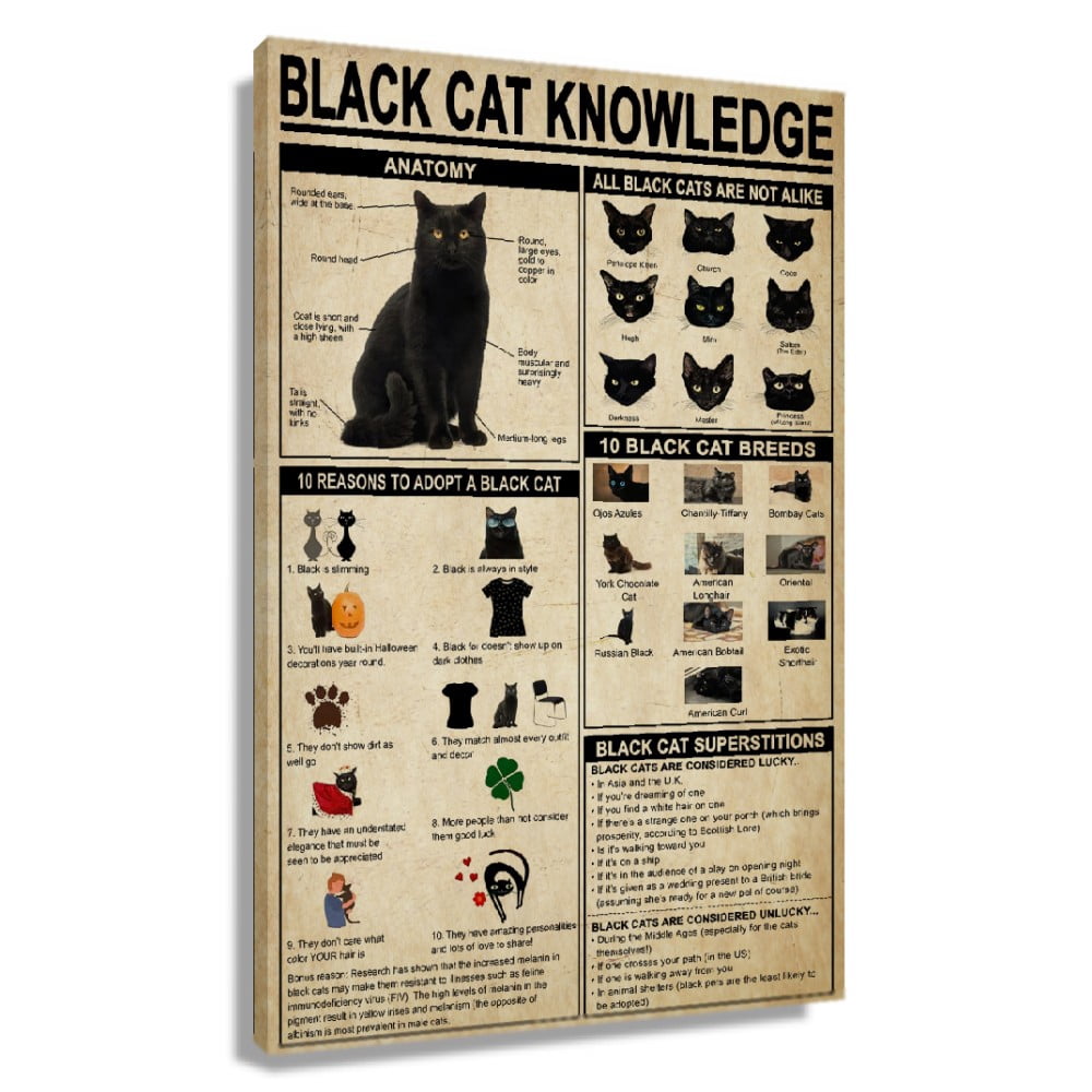 Black Cat Wall Art Knowledge Poster Educational Wall Art Infographic ...
