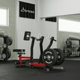 syedee Adjustable Seated Row Machine, Plate Loaded, Independent ...