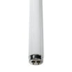 Philips 34W F34T12/CW/RS/EW Fluorescent Tube Bulb 48 Inch Bi-Pin White ...