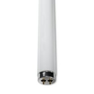 Philips 34W F34T12/CW/RS/EW Fluorescent Tube Bulb 48 Inch Bi-Pin White ...