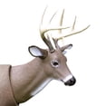 Primos Hunting Scar Deer Decoy, Realistic Movement, Quiet Transport ...