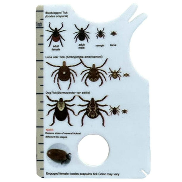 Popular!Tick Card Human, tarjeta de garrapatas para humanos, permite ...