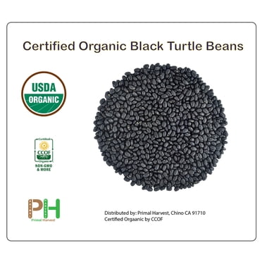 Organic Black Turtle Beans -2.5 Lb- Called Black Bean & Spanish Black ...