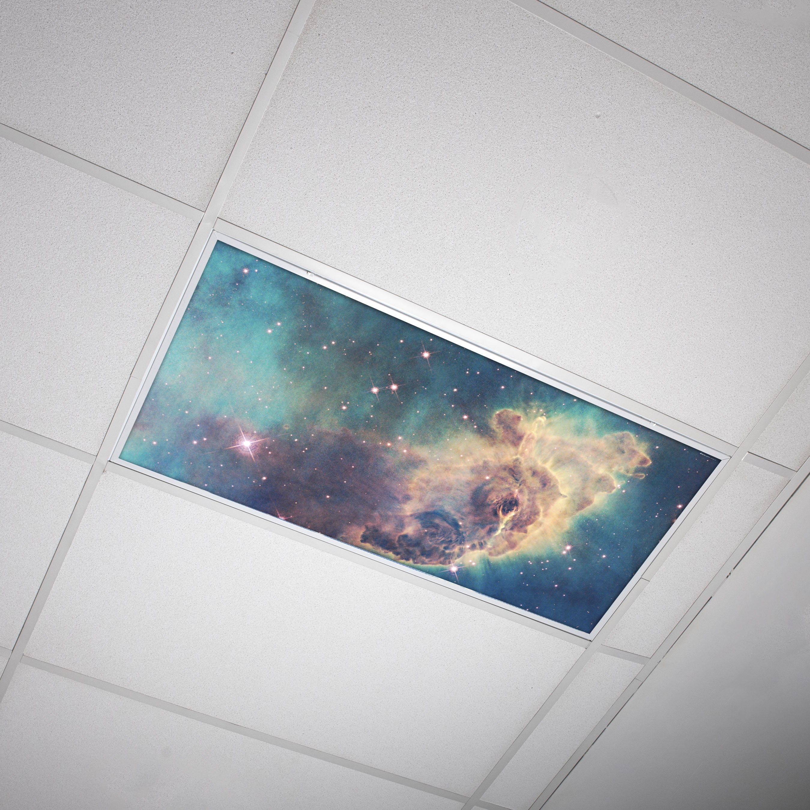 Octo Lights - Fluorescent Light Covers - 2x4 Flexible Ceiling Light ...