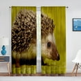 Hedgehog Cute Small Animal Tulle Curtains for Living Room Bedroom Decor ...