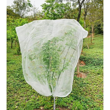 Fruit Tree Netting 1.8m X 1.8m, Plant Insect Netting, Fine Mesh Insect ...