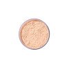 Airspun Setting Face Makeup Beauty Powder, 005 Translucent Extra ...