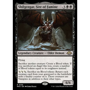 MtG Tales of Middle-Earth Flight of the Witch-King Scene Box - Walmart.com