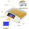 42-Egg Automatic Incubators for Hatching Eggs, Practical Fully ...
