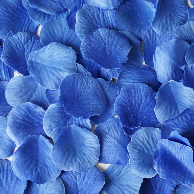 Royal blue rose petals for weddings | Beachweddingtips.com
