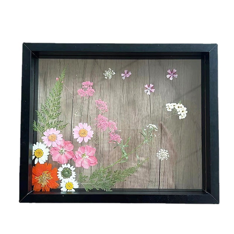 KYAIGUO Plant Specimen Photo Frames, Photo Frames, Wooden Glass Photo ...