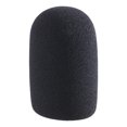Professional Microphone Windscreen Filter Mic Cover Foam for AT2020 ...