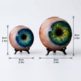 Hyper-Realistic Monster Eye Decor, Scary Realistic Eyeball Ornament ...