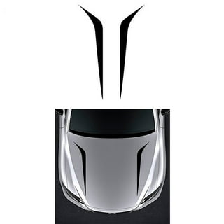 3"x72" Pink Vinyl Racing Stripes Car Boat Trailer Sticker Pinstripes ...