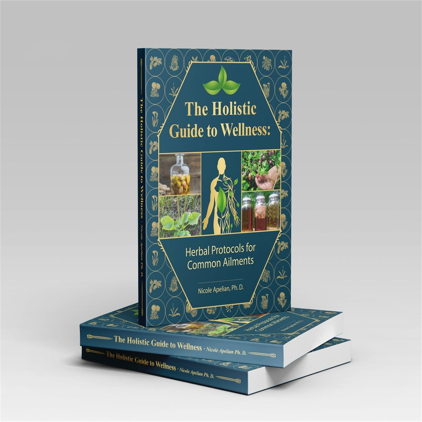 The Holistic Guide To Wellness Herbal Protocols For Common Ailments ...