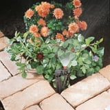 Orbit 12" Micro Sprinkler Stakes with Full, Half, and Quarter Pattern ...