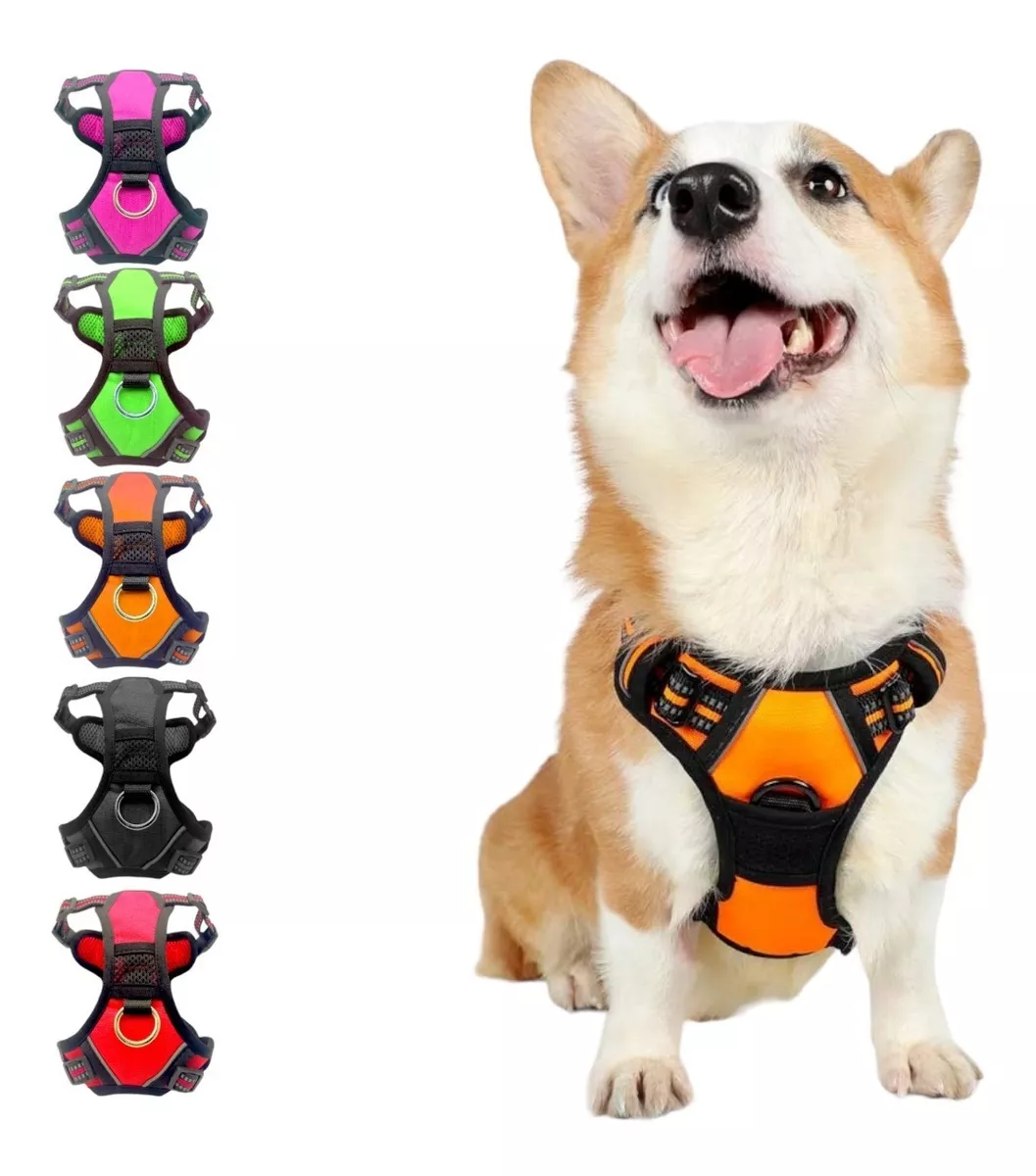 Pechera Para Perro Chico Arnes Ajustable Cintas Reflejantes | Bodega ...