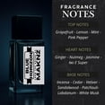 MAKNZ Blue Horizon Eau de Parfum for Men 50ml – Citrus Amber Woody ...